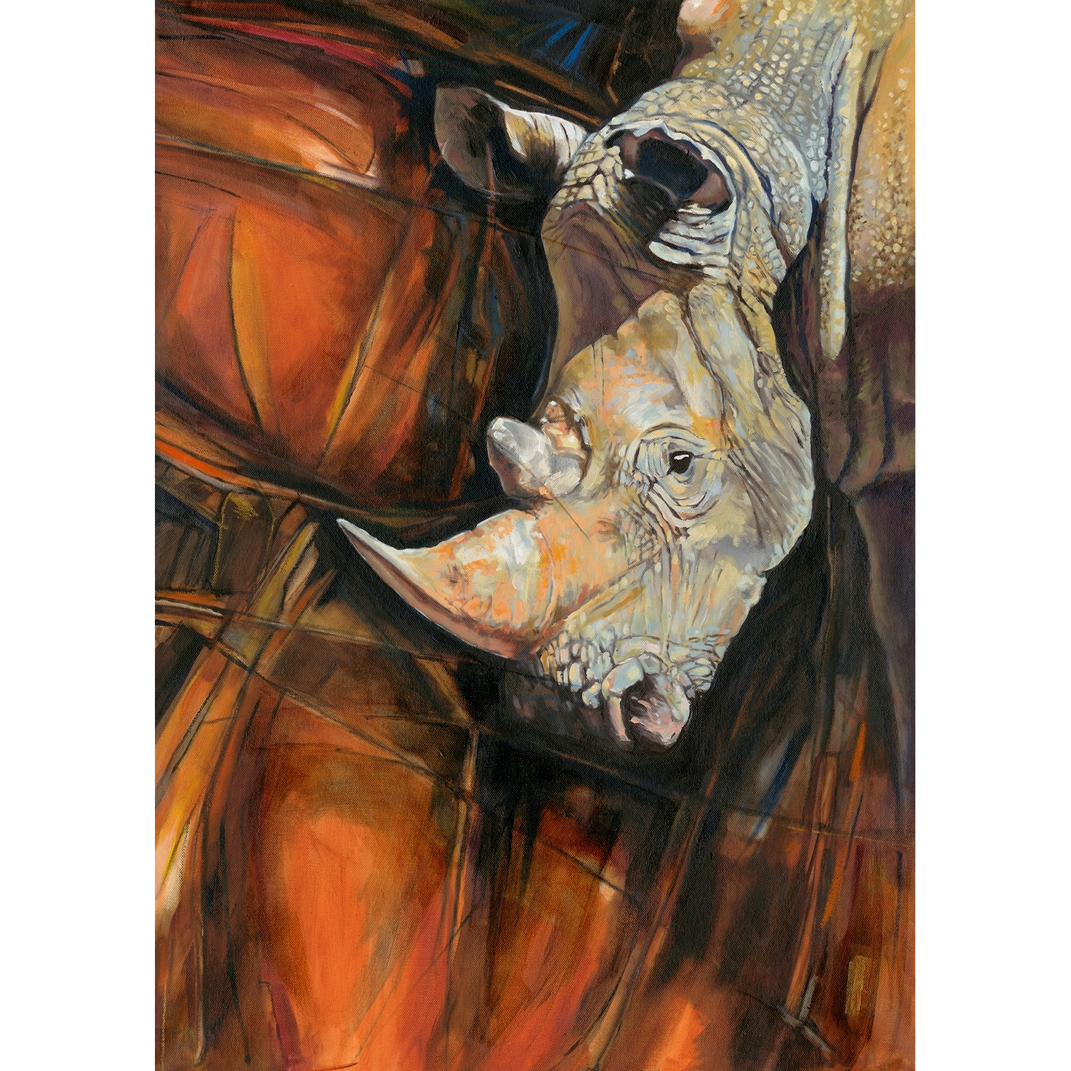 Wildlife – Fox Gallery